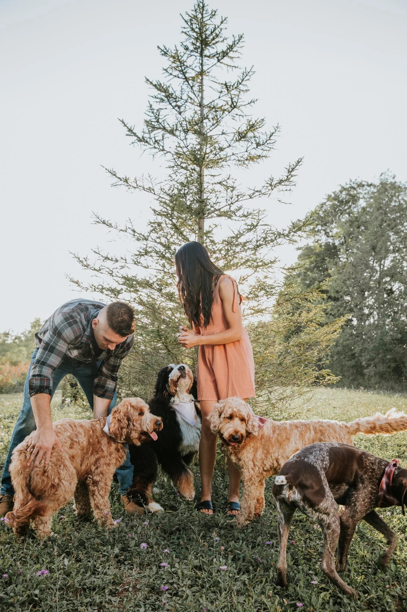 Griswold Goldens | Branding — Jamie Pankow Photography