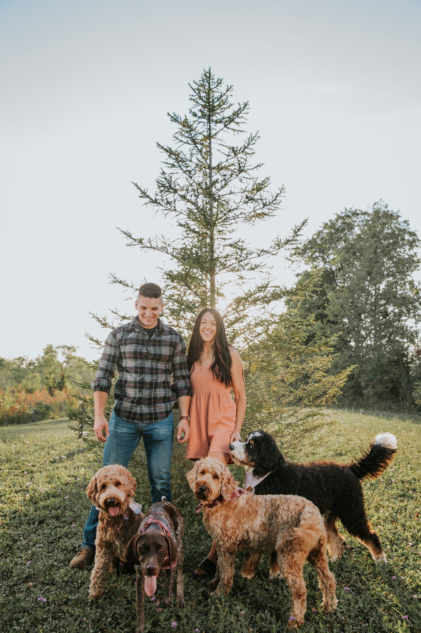 Griswold Goldens | Branding — Jamie Pankow Photography