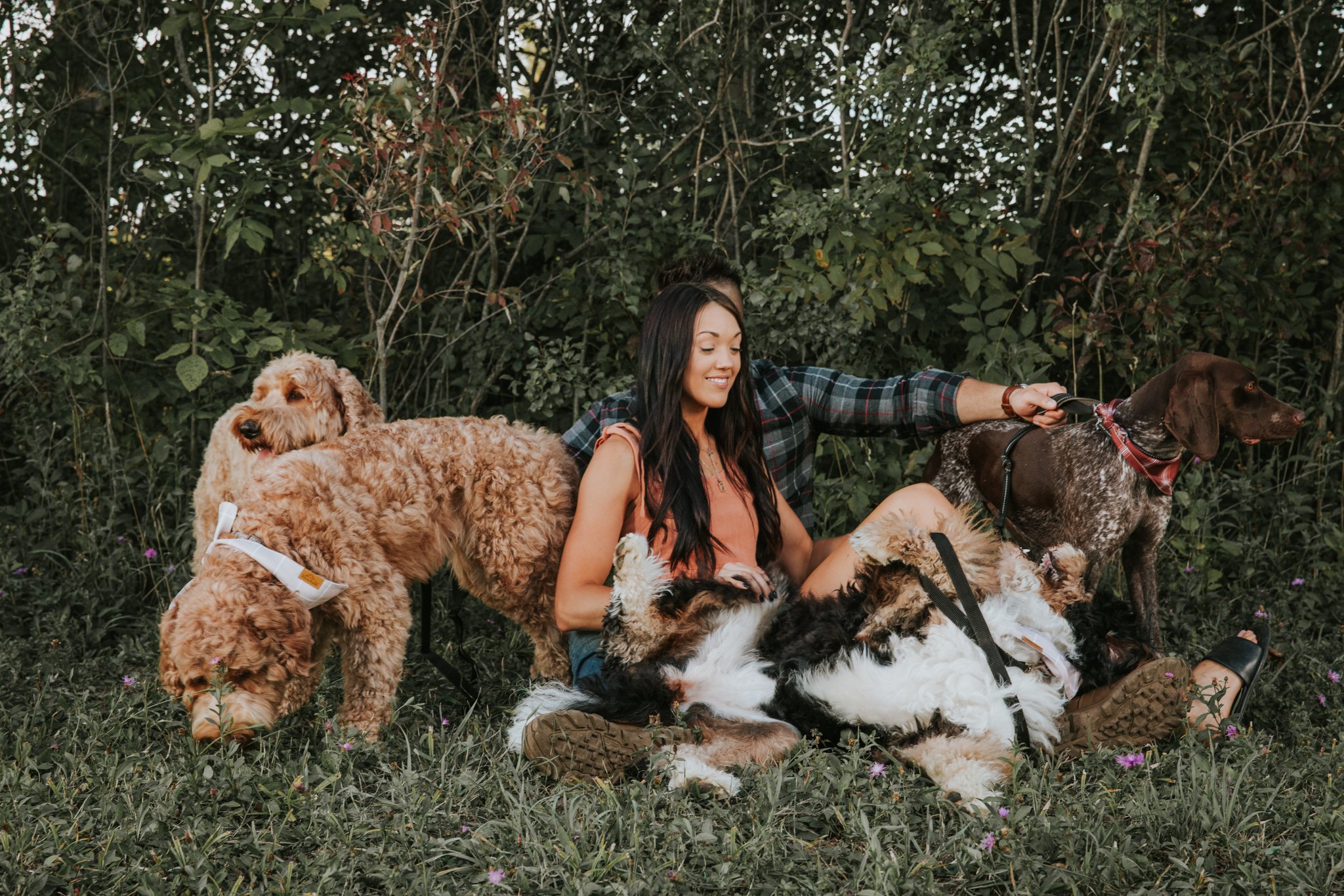 Griswold Goldens | Branding — Jamie Pankow Photography