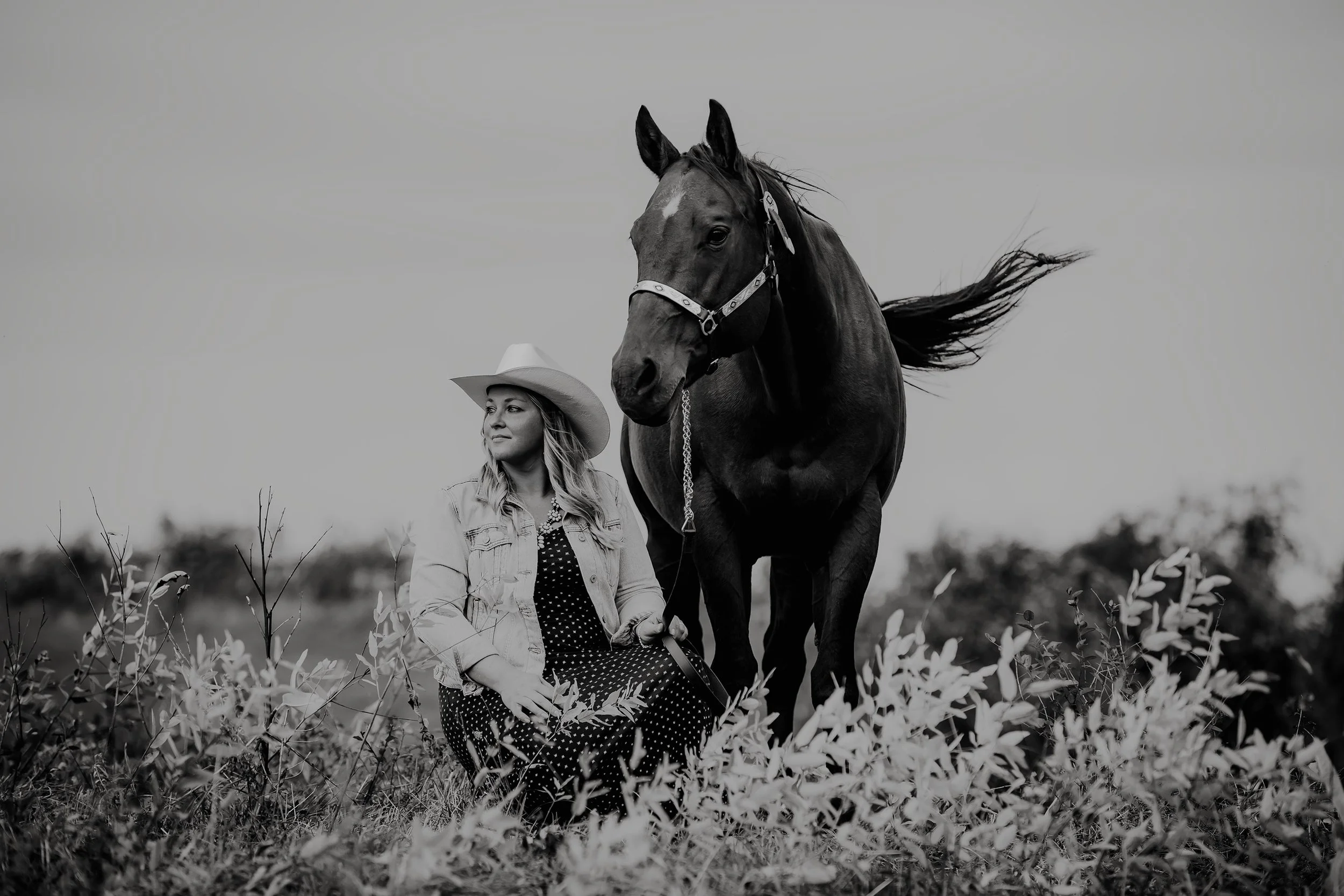INVESTMENT | Equine Photographer in New York — Jamie Pankow Photography