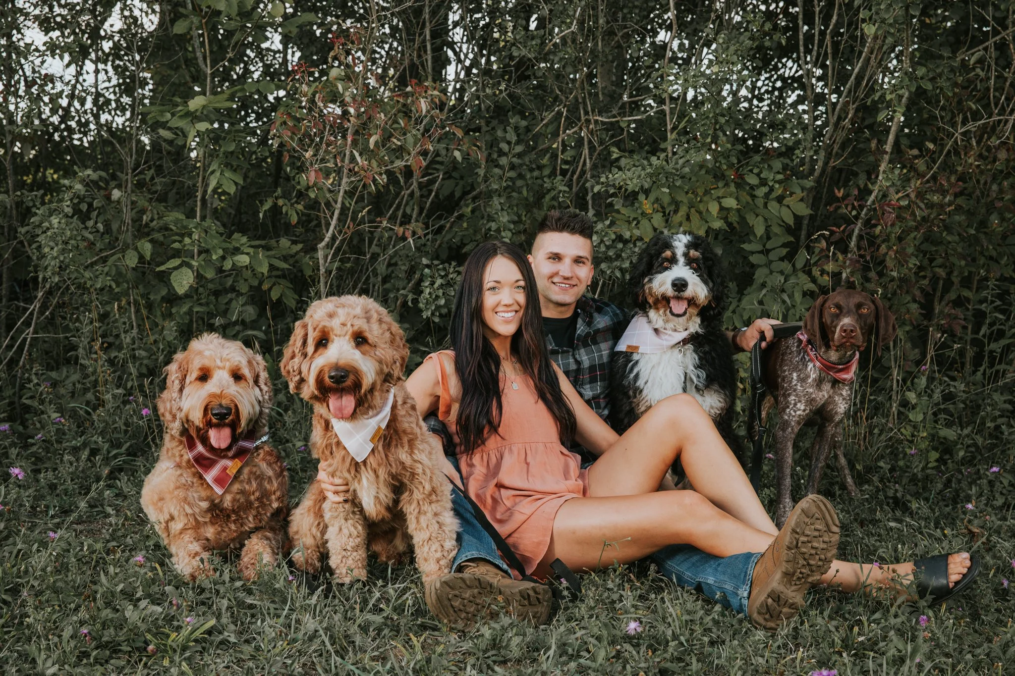 Griswold Goldens | Branding — Jamie Pankow Photography