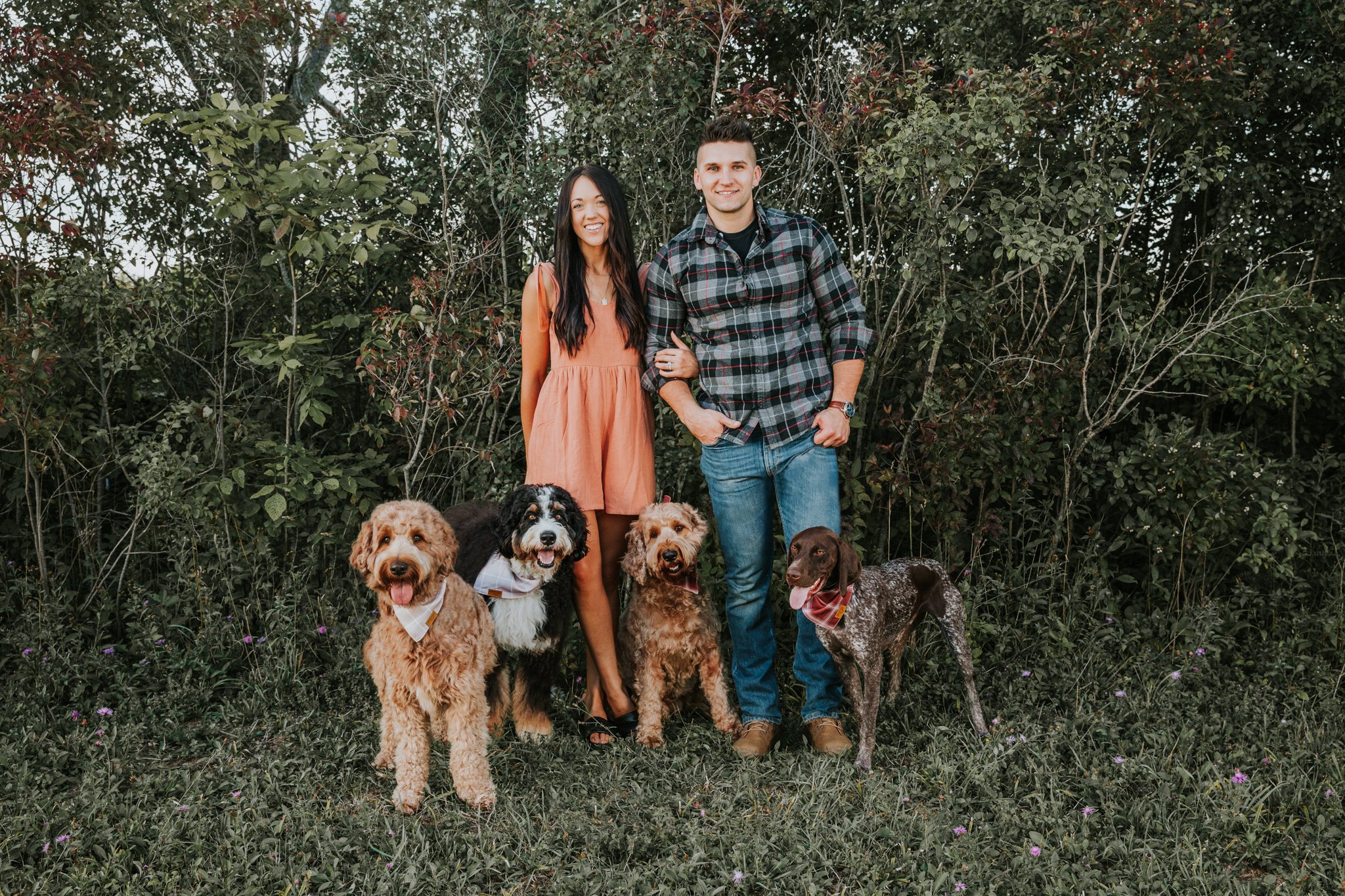 Griswold Goldens | Branding — Jamie Pankow Photography