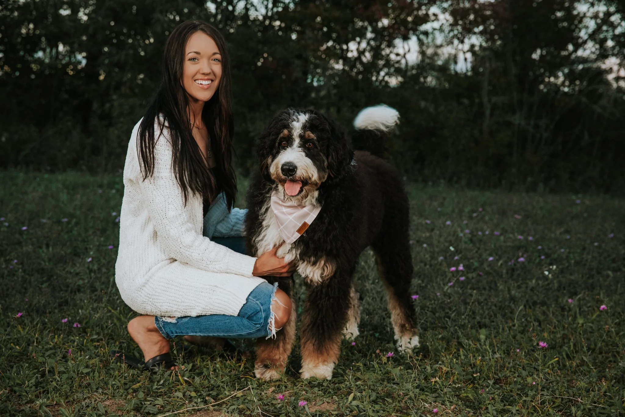 Griswold Goldens | Branding — Jamie Pankow Photography