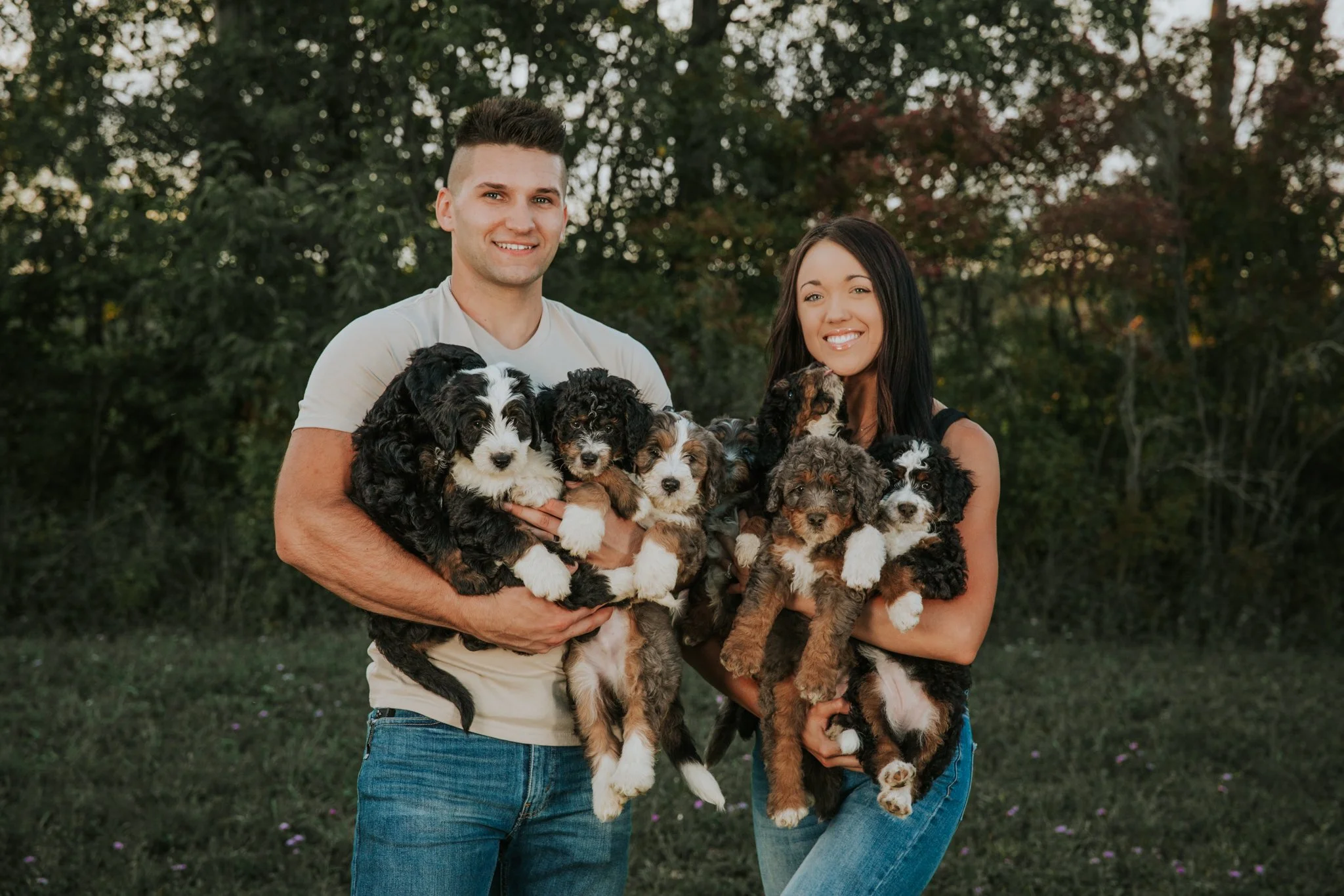 Griswold Goldens | Branding — Jamie Pankow Photography