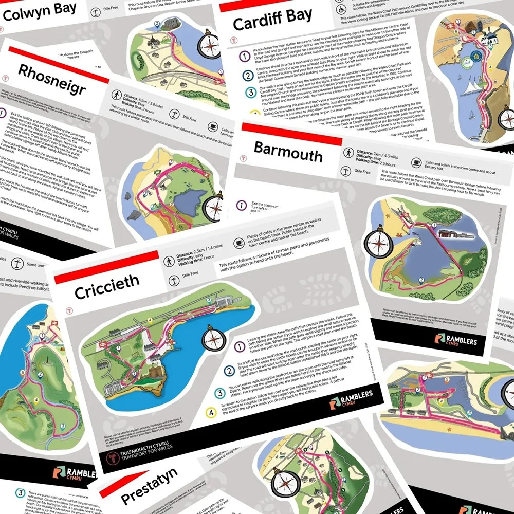 Illustrated Maps — Arry Cain Illustration