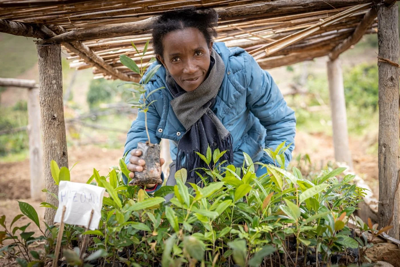 Conservation in Action: Protecting Madagascar's Unique Biodiversity | Feedback Madagascar ...