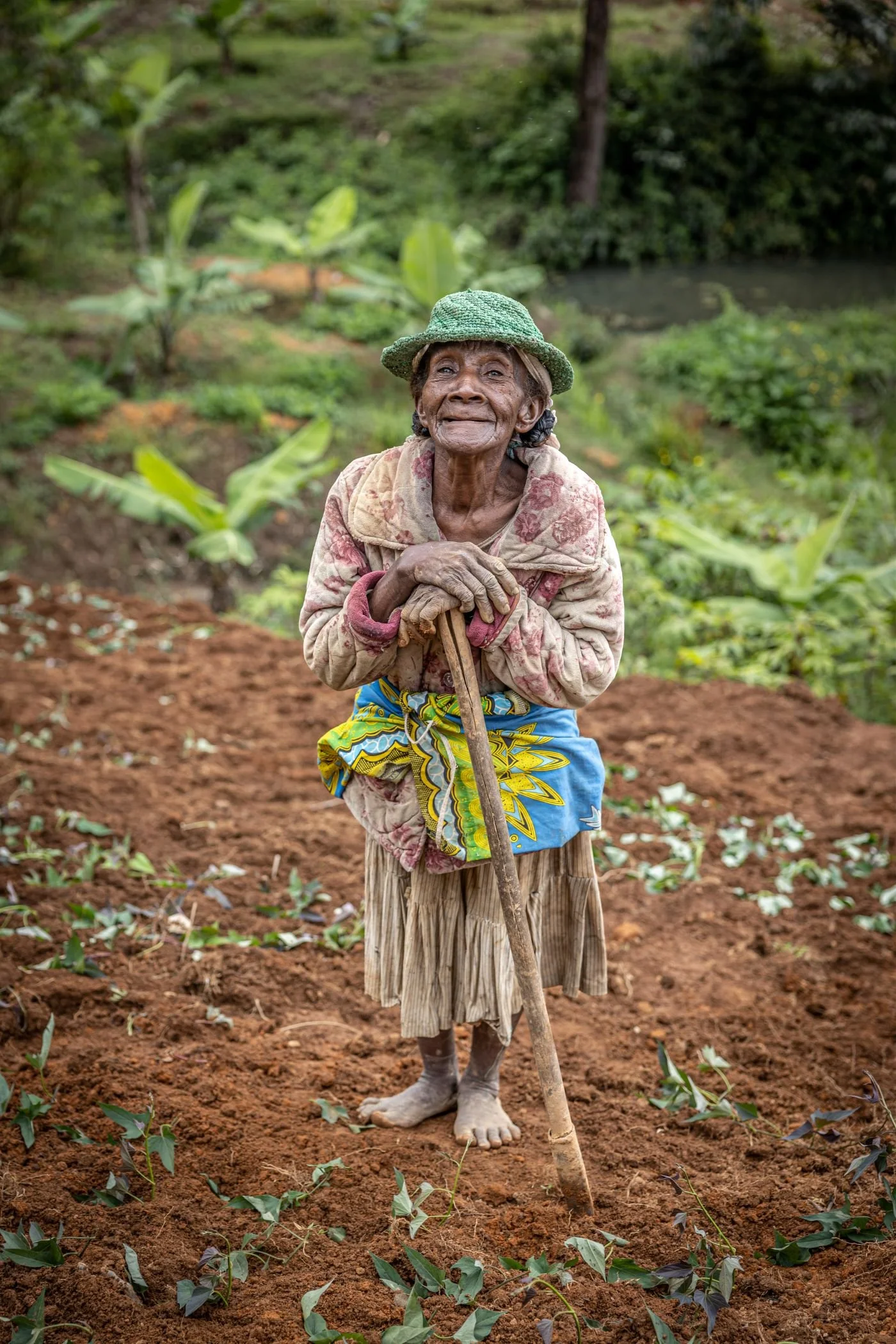 Taking Action Against Climate Change: Solutions, Awareness, and Impact | Feedback Madagascar ...