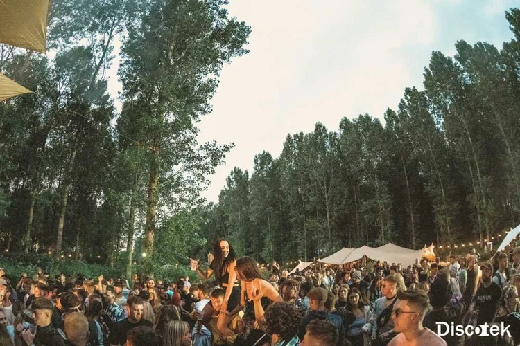 Into the Woods festival