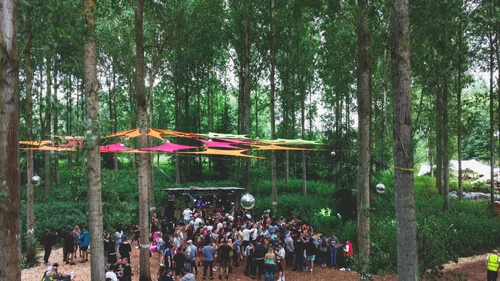 Into the Woods festival