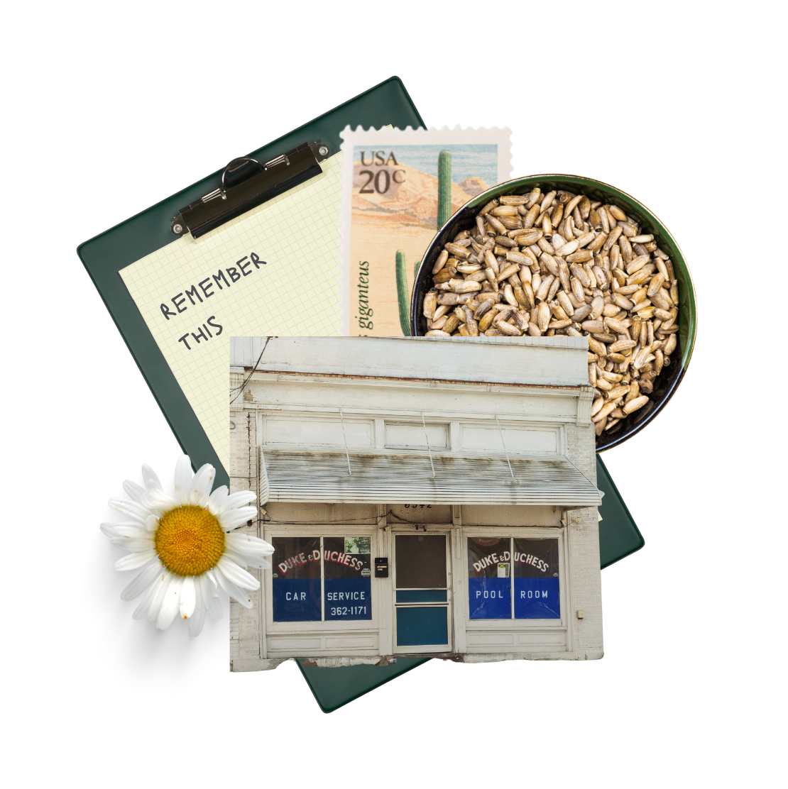 About the book Waiting Room — Waiting Room