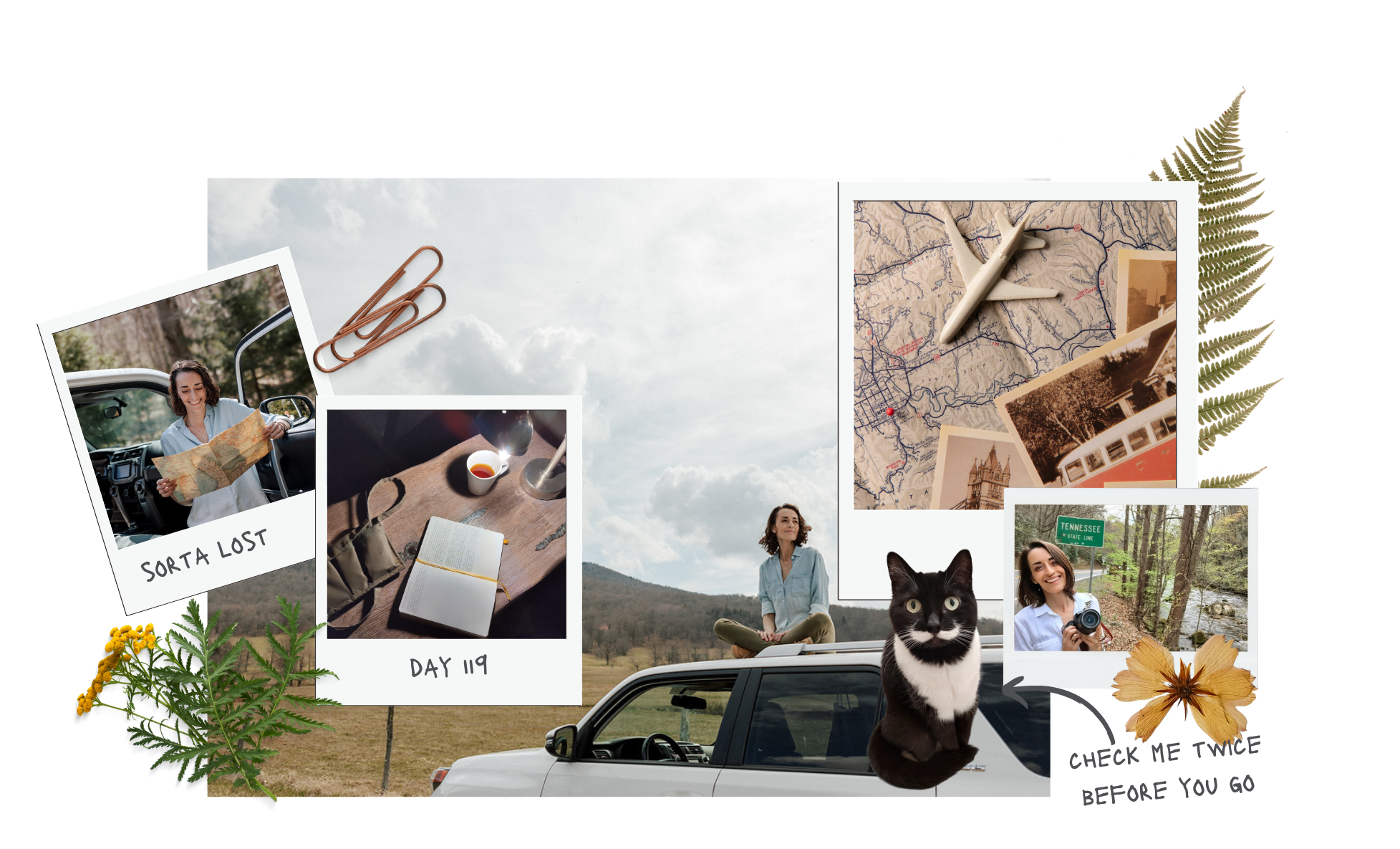 About the book Waiting Room — Waiting Room