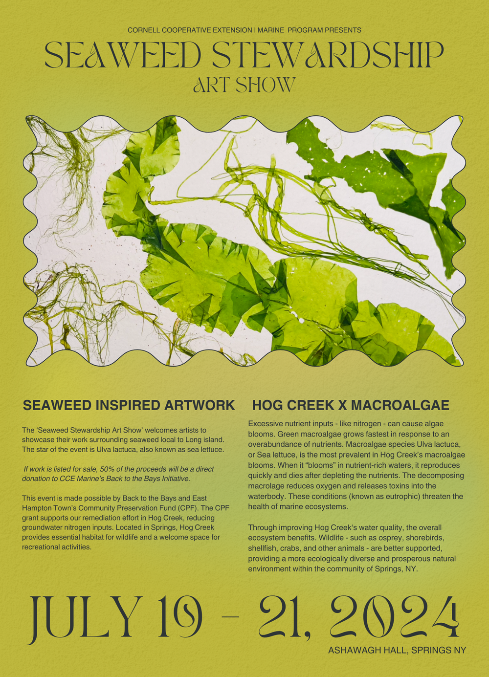 Seaweed/Macroalgae — Back to the Bays