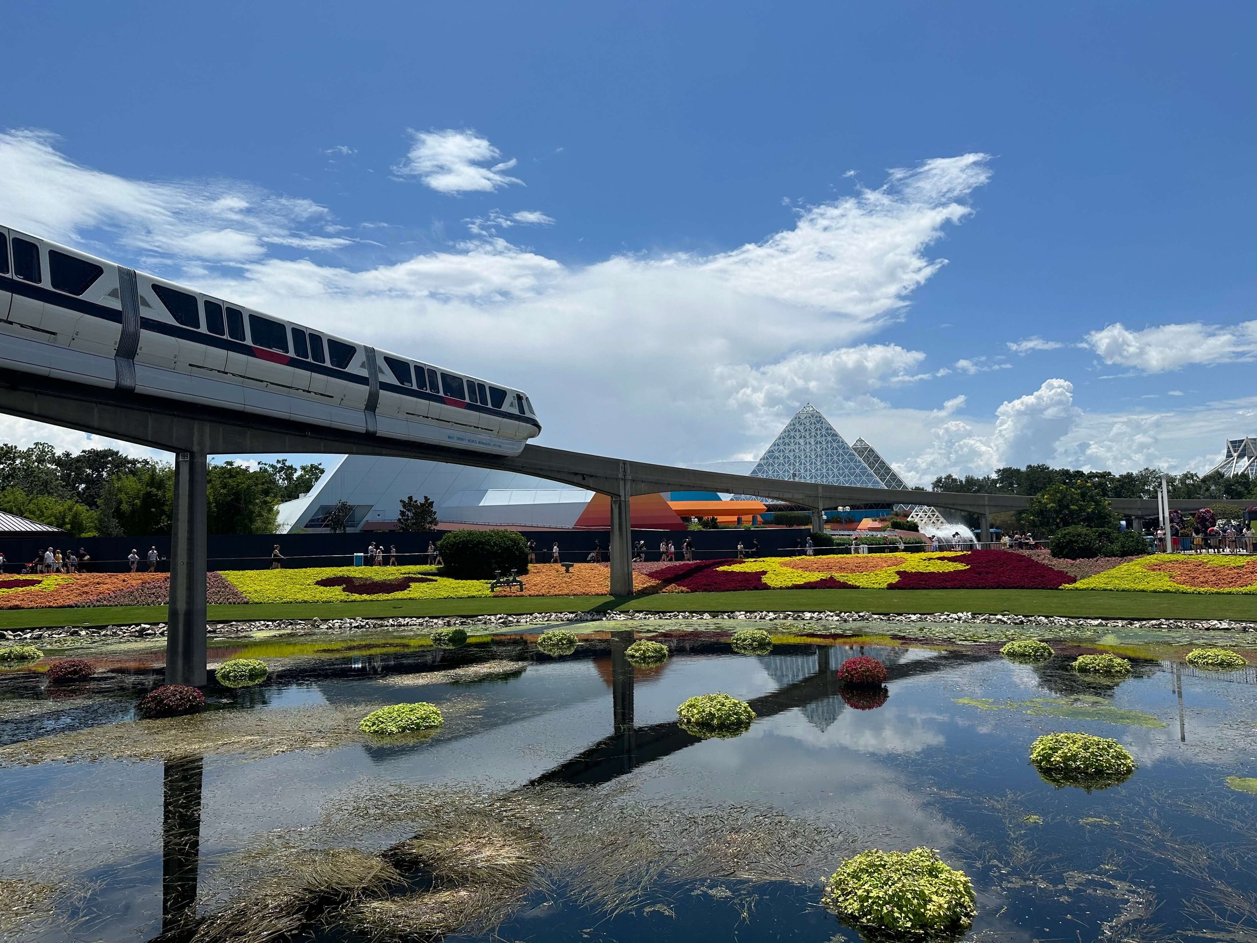 Navigating Walt Disney World: Your Complete Transportation Guide