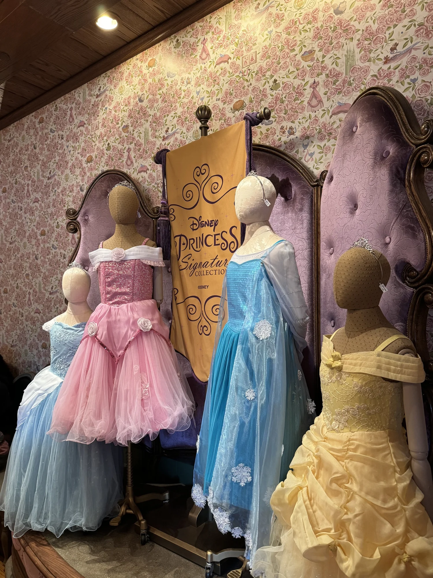 Every Bibbidi Bobbidi Boutique Dress Option with Prices (2024)