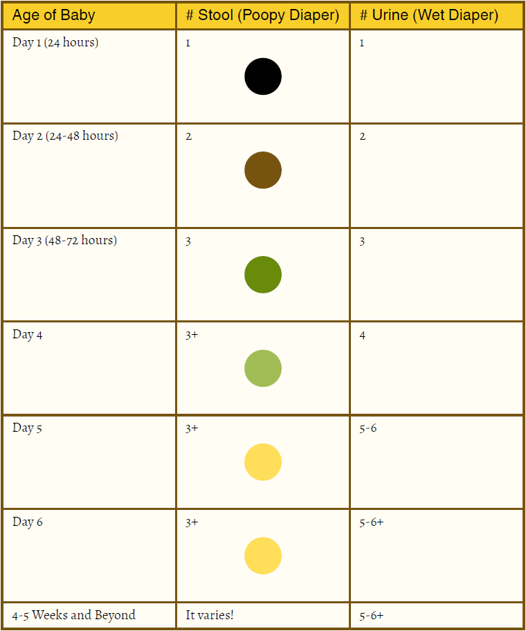 Poopy Diapers Breastfed Babies