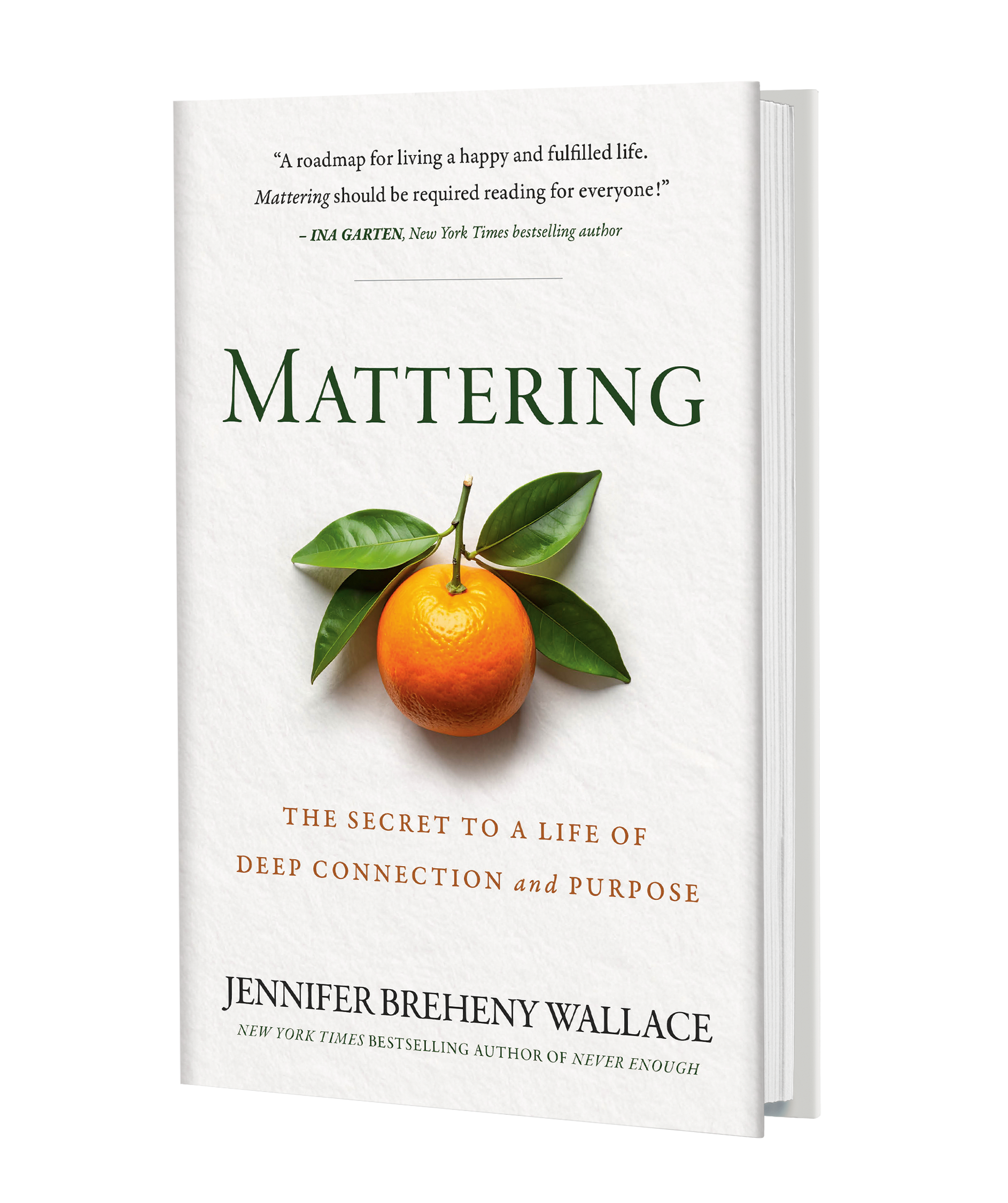 Mattering: The Book — Jennifer B. Wallace