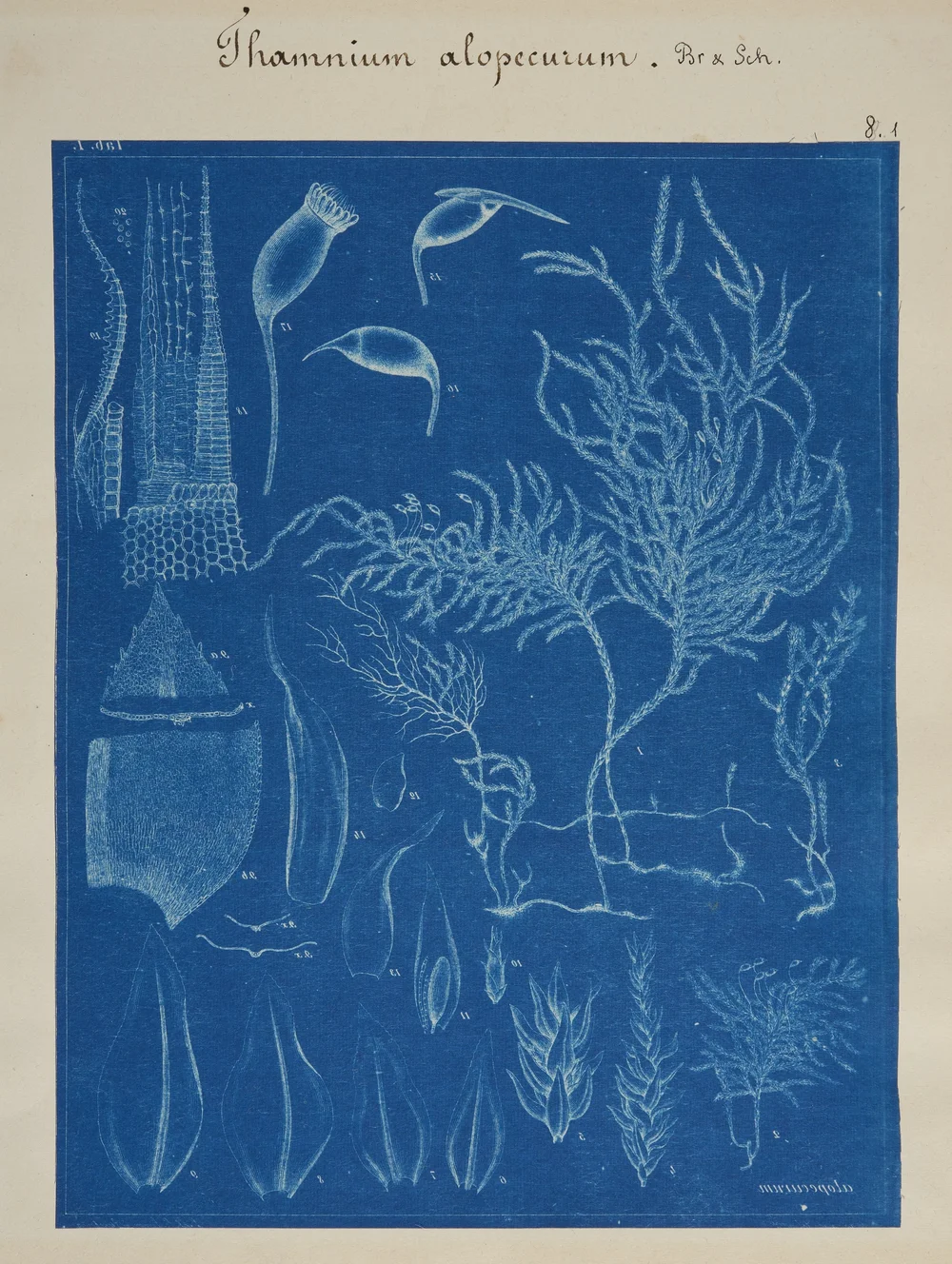 About the Collection — Don Camera - Collector/Photographer