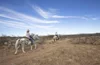 Horseback Riding — Tombstone Monument Ranch & Cattle Co