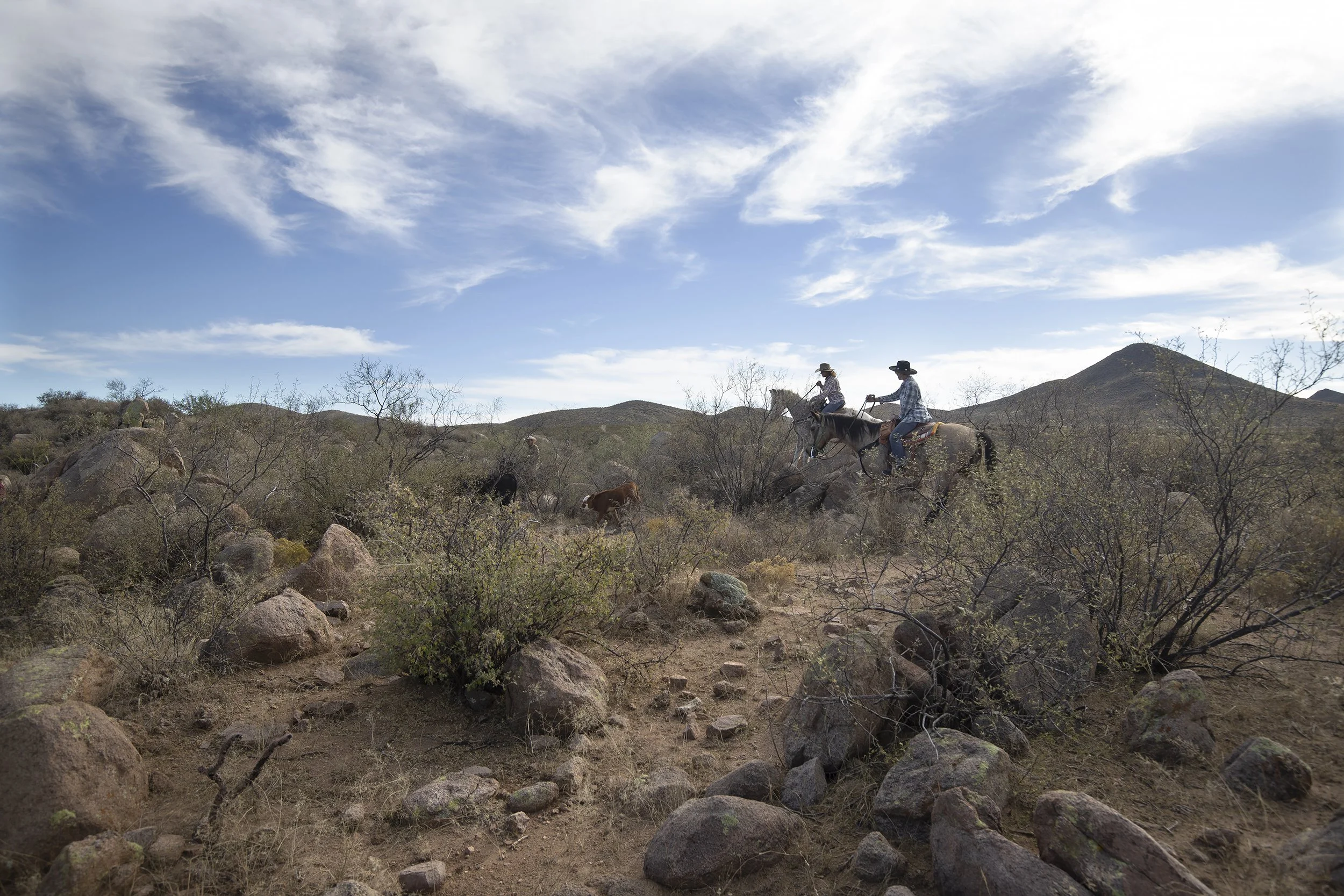 Tombstone Monument Ranch & Cattle Co — Arizona Dude Ranch