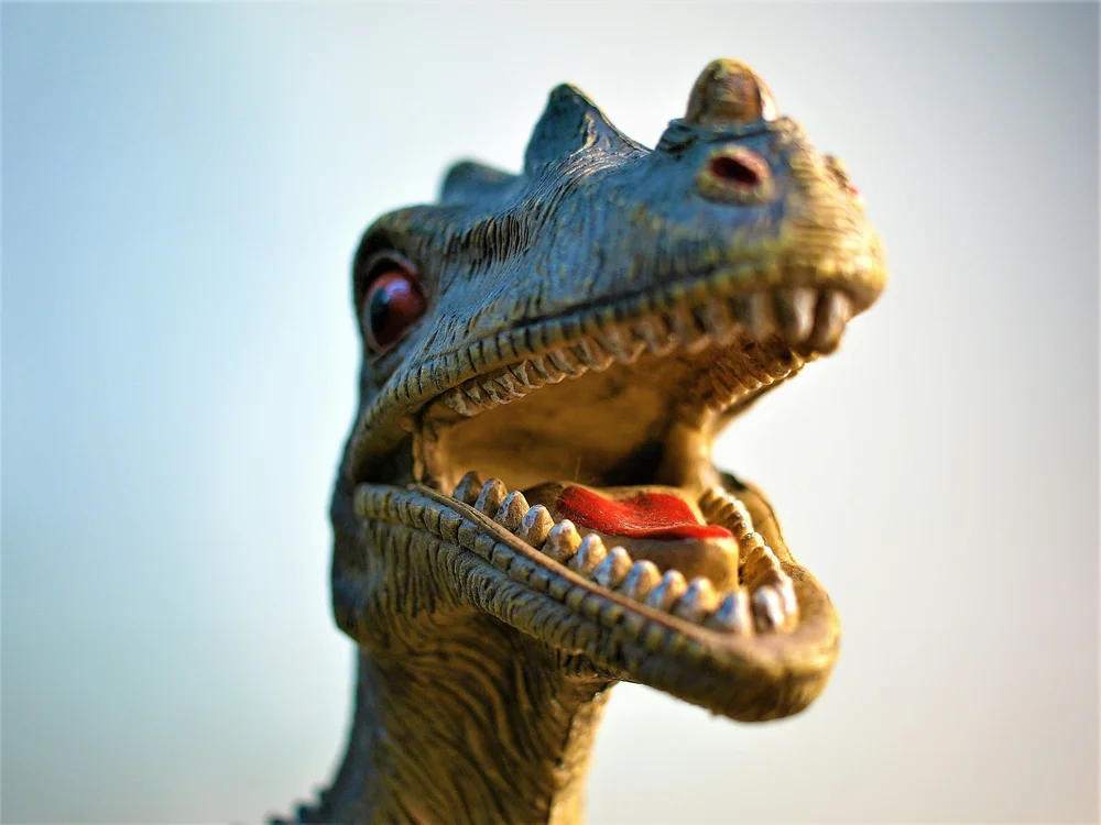“Why Your Baby Is Screeching Like a Dinosaur (and What You Can Do About ...