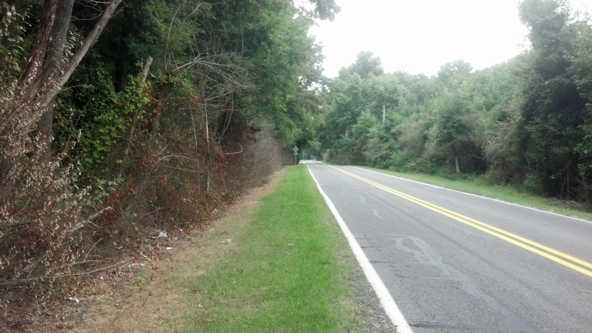 Roadside Vegetation Management — Weeds, Inc. Roadside Vegetation Management — Weeds, Inc.