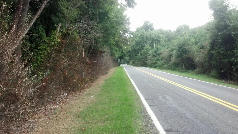 Roadside Vegetation Management — Weeds, Inc.