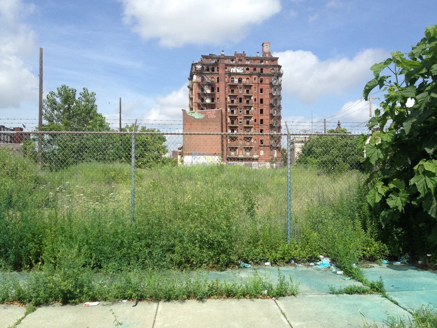 Industrial & Commercial Vegetation Mgmt. — Weeds