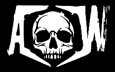 Arena Wars Fighting Series