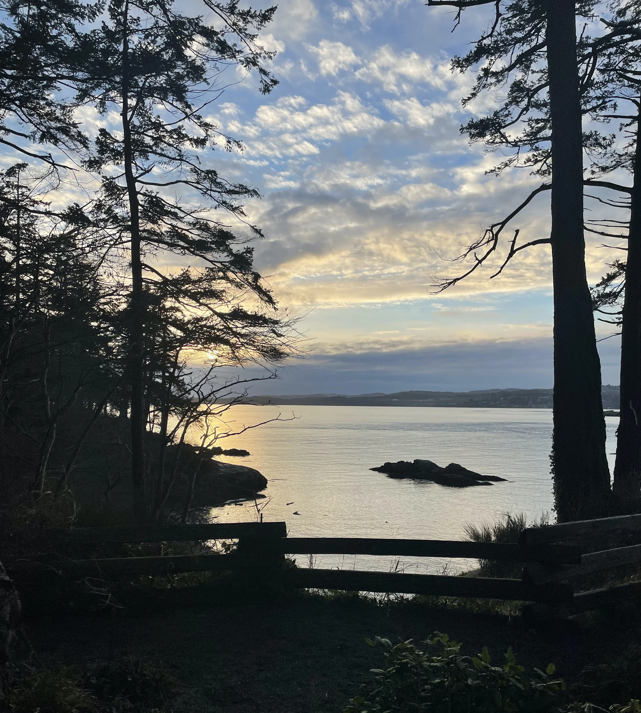How To Find Beauty In Your Backyard - Saxe Point Park, Victoria, BC ...