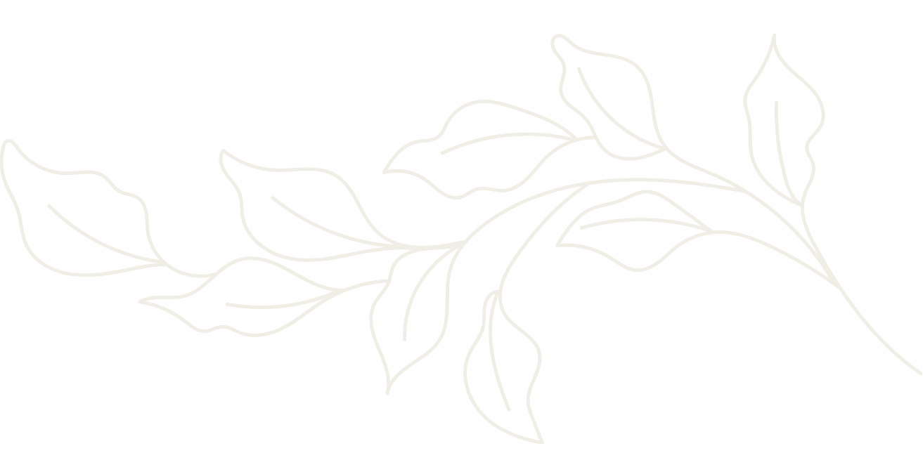 Ardor Custom Designs -Interior Designer