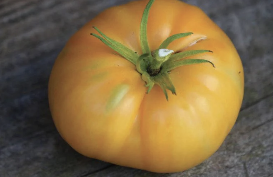 Shop — Roots Ranch Farm