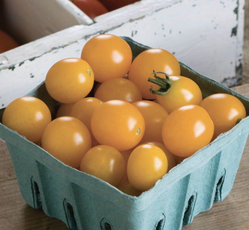 Shop — Roots Ranch Farm