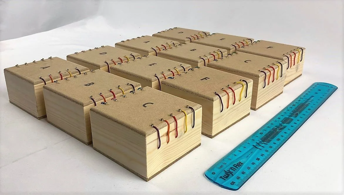 Mystery Circuit Boxes — Simple Science Supplies