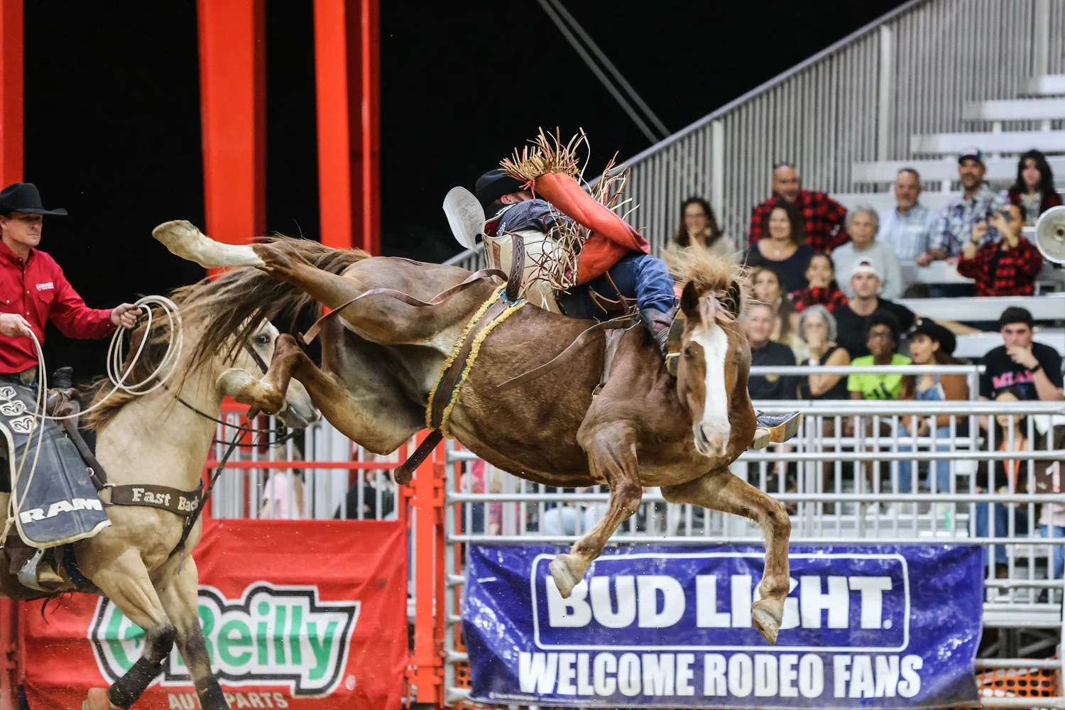 JC Kitaif Pro Rodeos