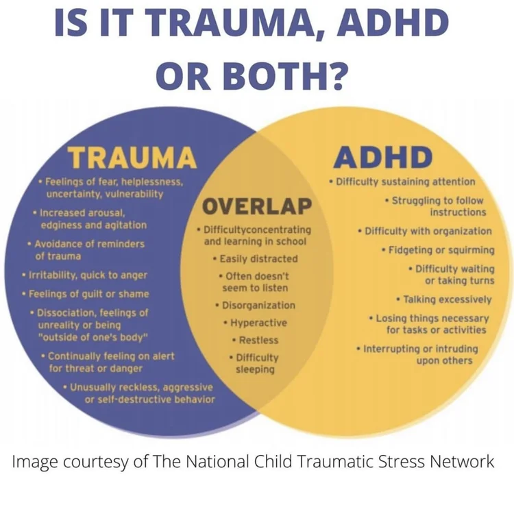 9 Common Myths About Attention Deficit Hyperactivity Disorder (ADHD ...