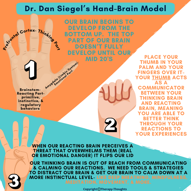 Teaching Kids What Emotional Regulation Is- Dr. Siegel’s Hand-Brain ...