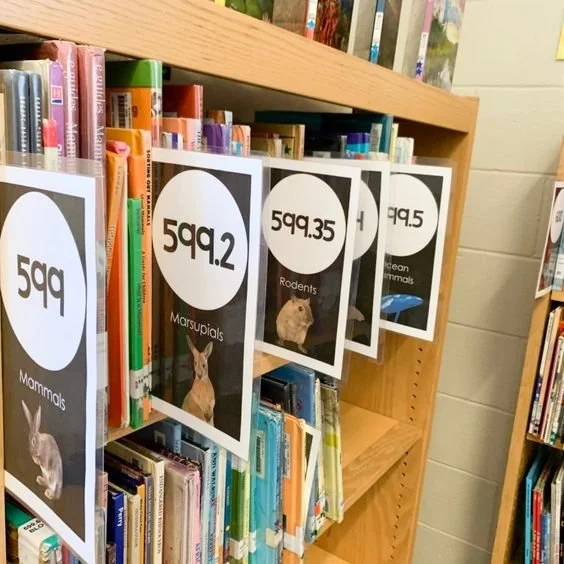How to Prep and Organize a Classroom Library — Teacher Questions ...