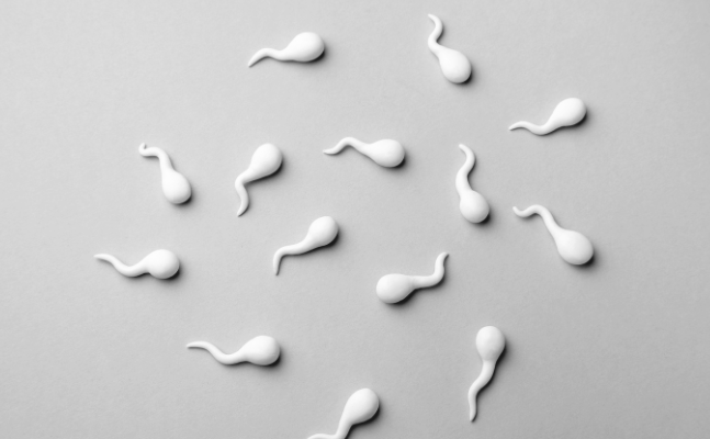 Primary vs. Secondary Infertility: Causes, Differences, and Treatment ...