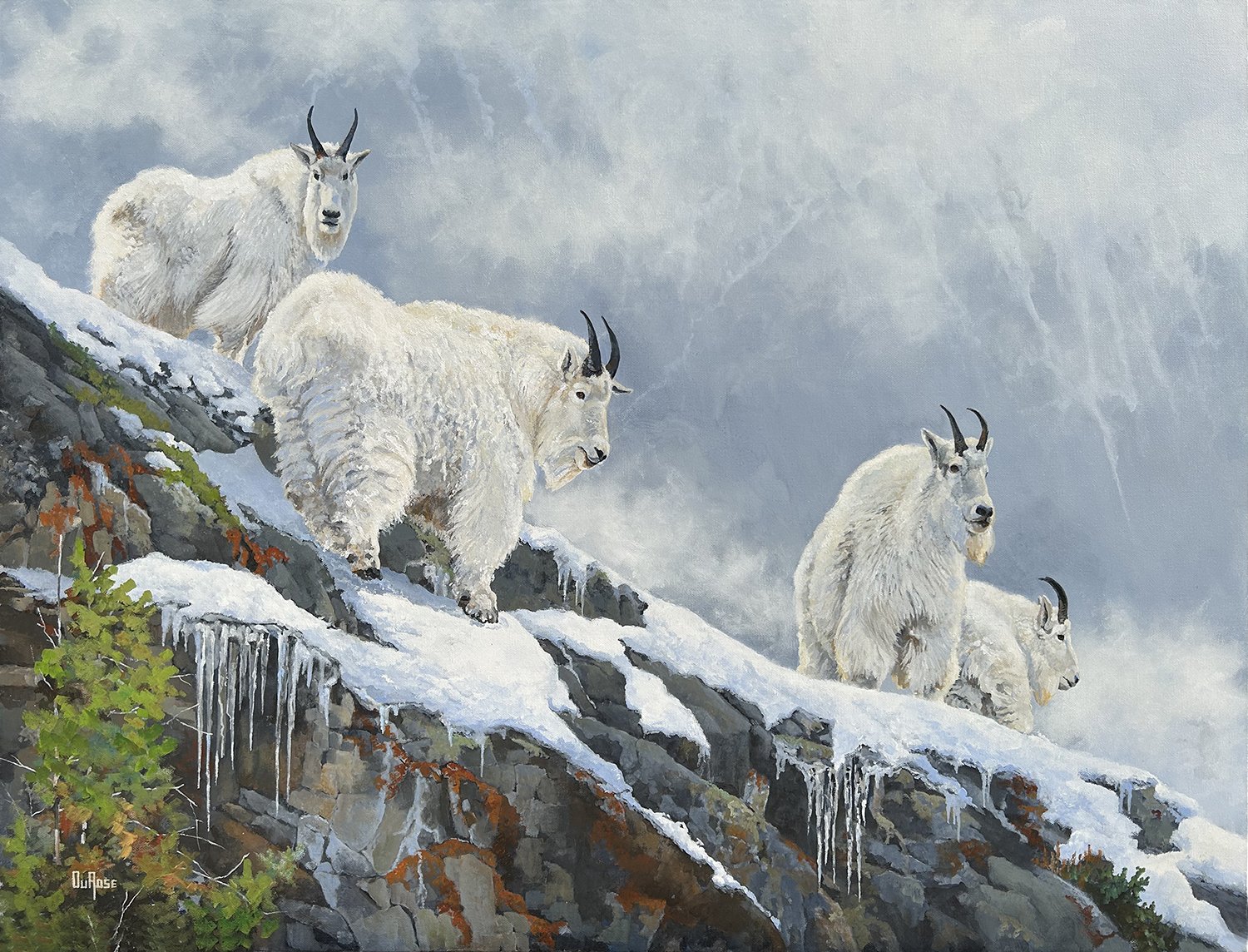 Dick Idol Signature Gallery — Whitefish, Montana