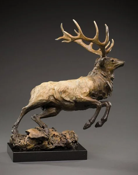 Sherry Sander — Dick Idol Signature Gallery