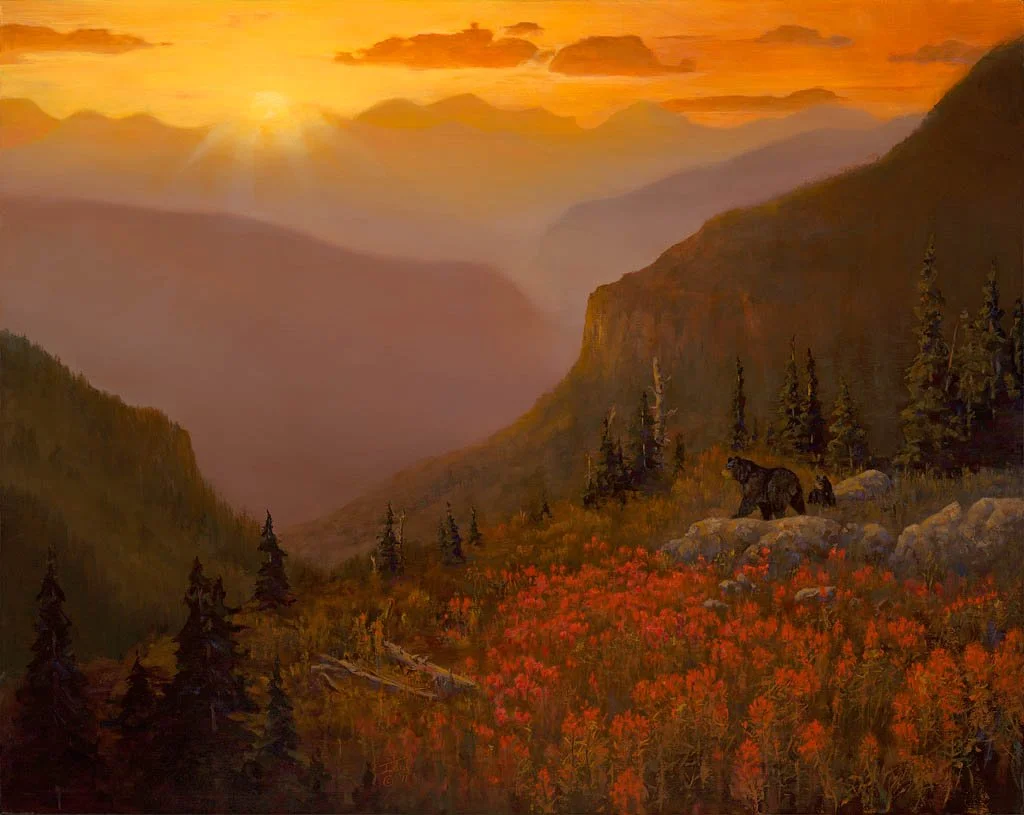 Dick Idol — Dick Idol Signature Gallery