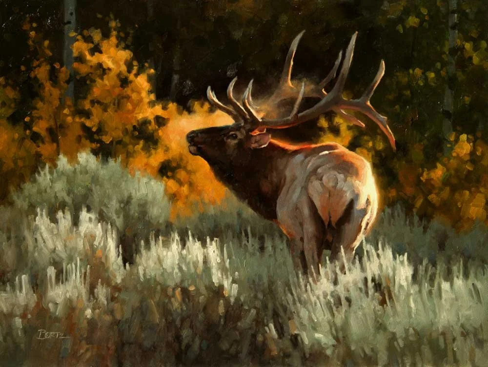 Jim Bortz — Dick Idol Signature Gallery