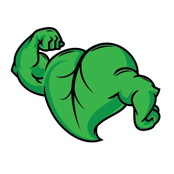 All Services | Discover Effective Fitness — Muscle Garden