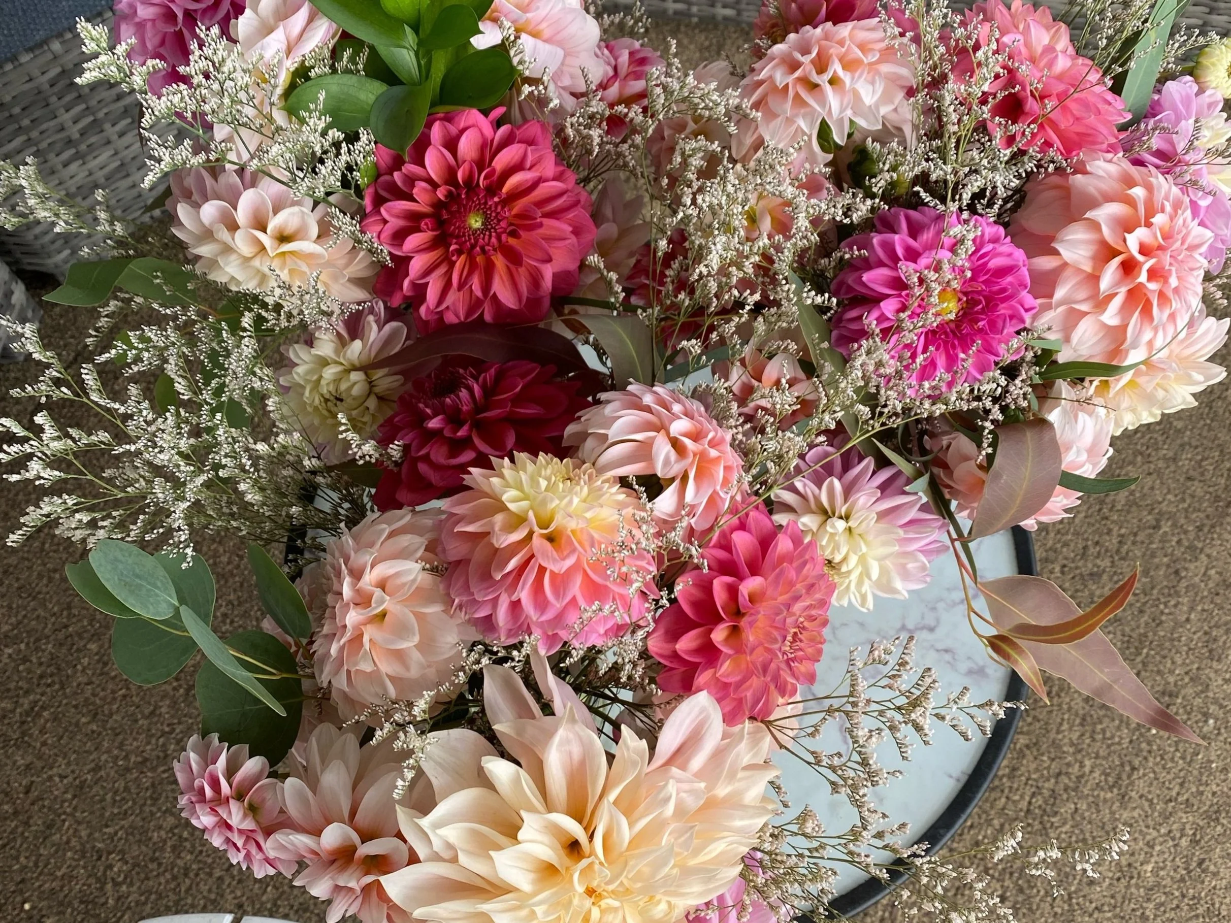 Our Story — Twin Willows Flower Farm