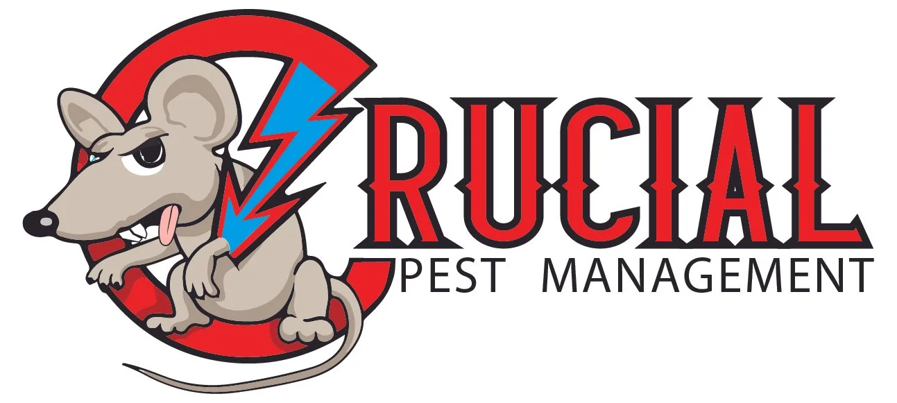 Crucial Pest Management — Slidin Studio