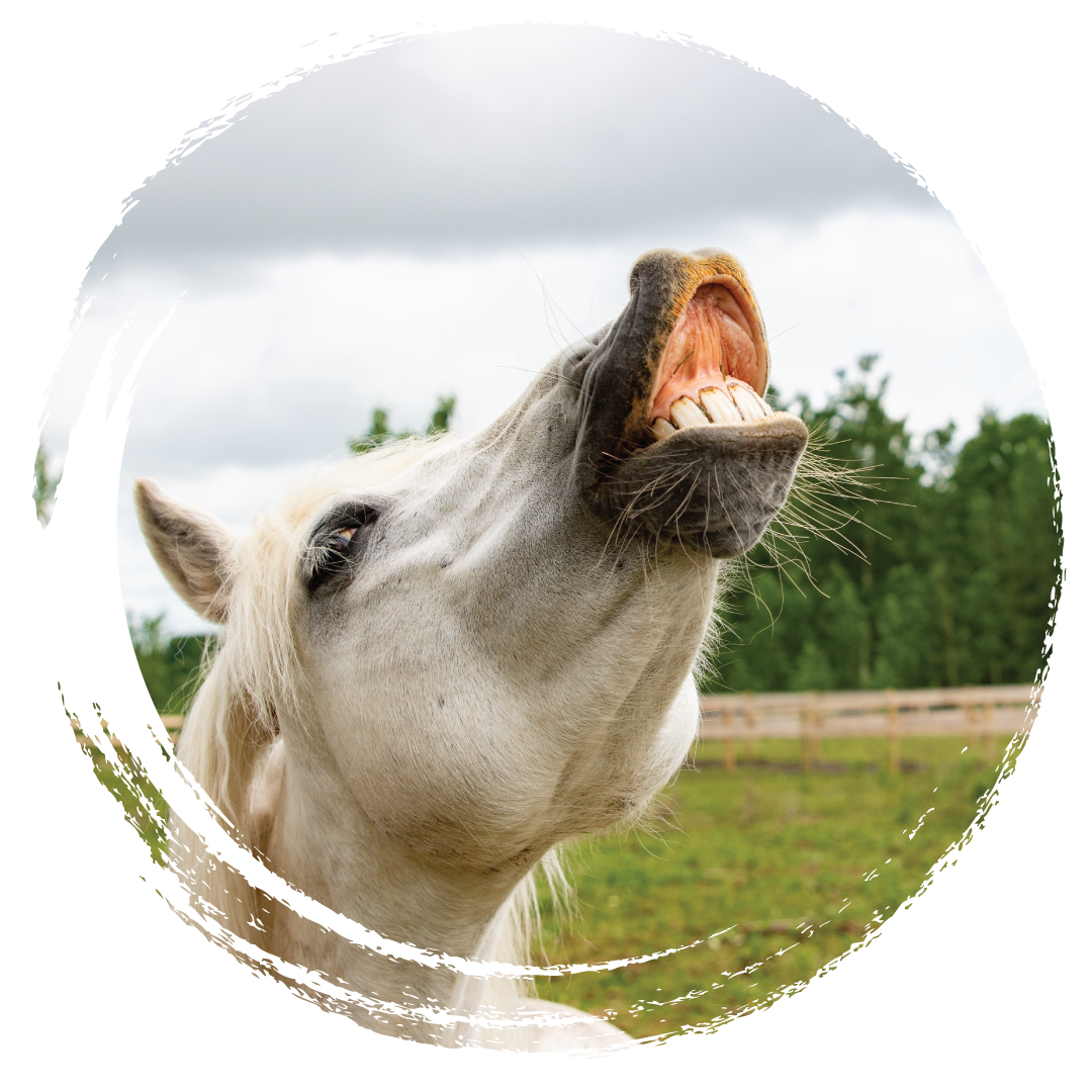 Brand & Design Ninja | Colour Infusion