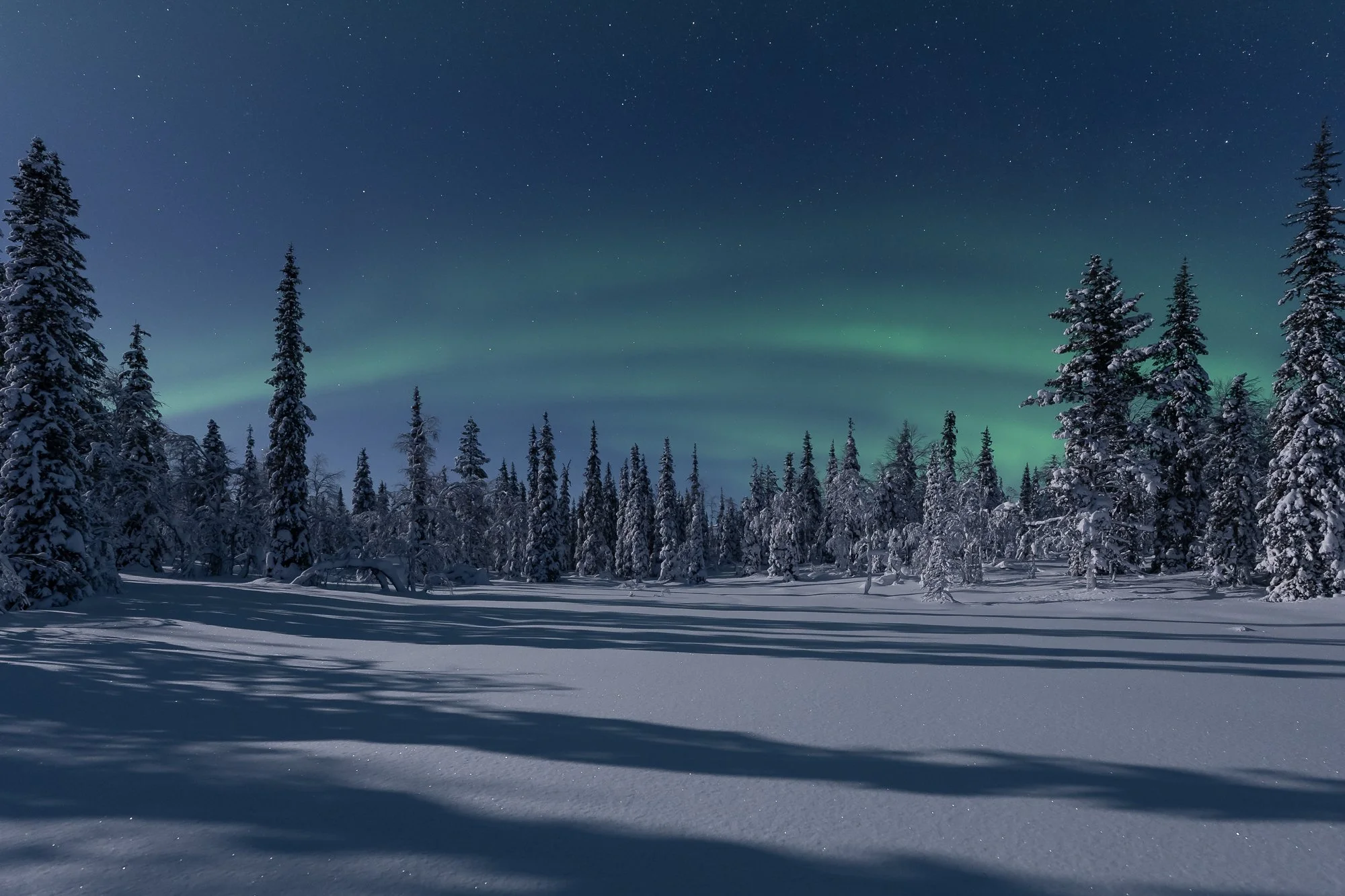 Aurora forecast & photography guide app — Step's Aurora Guide