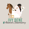 Ivy Dene Animal Sanctuary