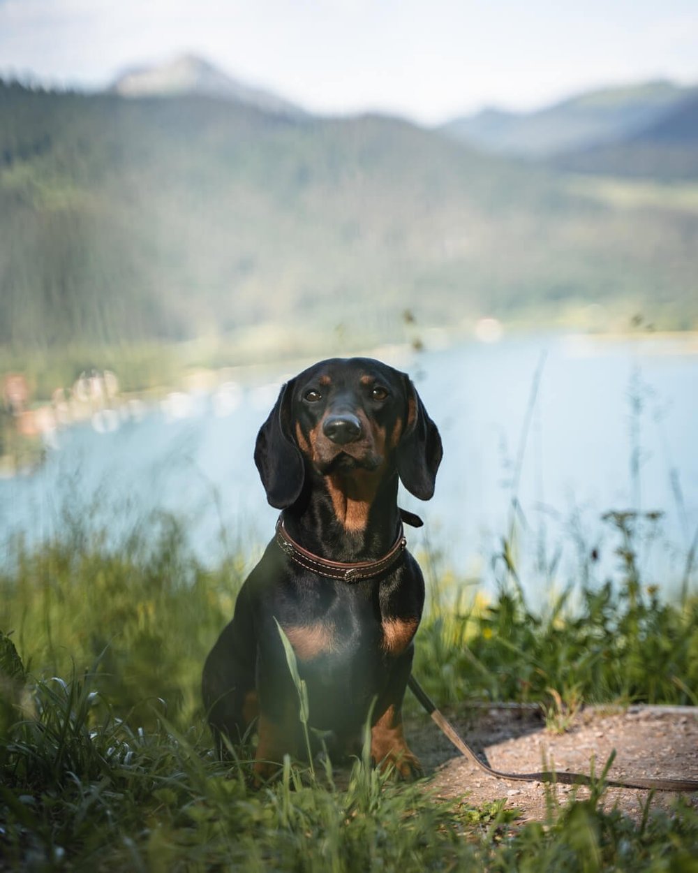 Hotels Am Tegernsee Mit Hund