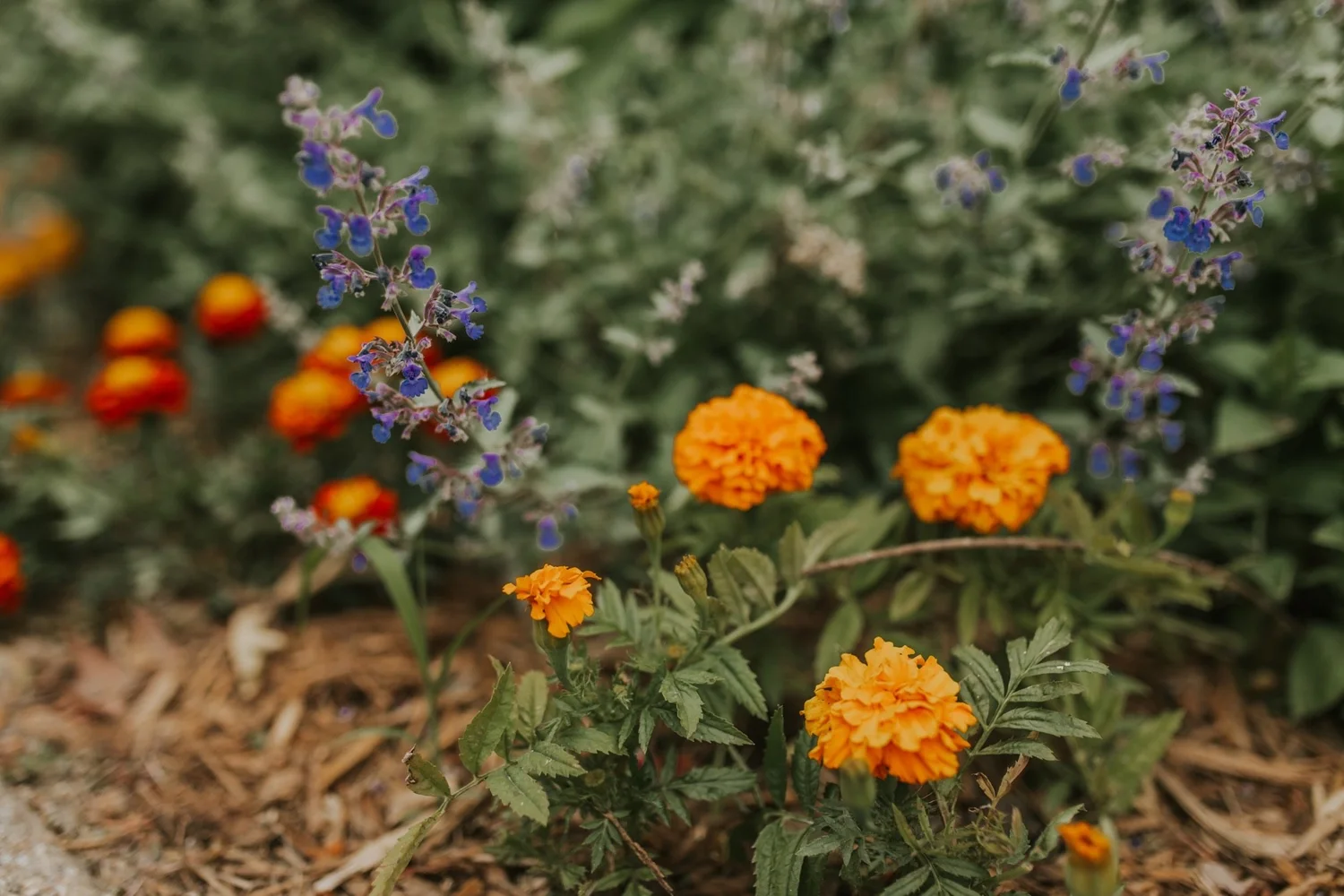 Our Team & Contact — Franklin Township